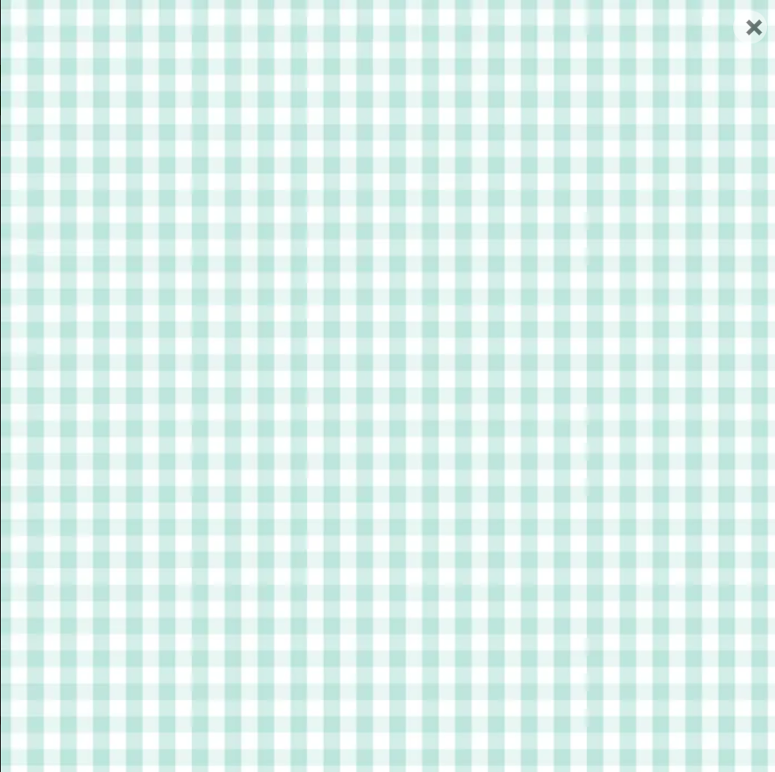 Devonstone Fundamentals Check 1/4 inch – DV 2874 Seafoam - Maree St Clair Quilts